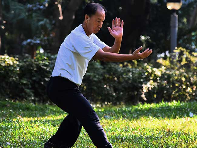 Eye Ching | Oriental Herb Company | OHCO | Eye Ching